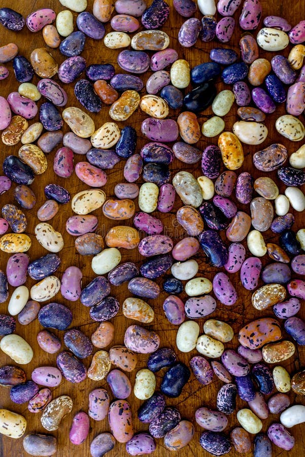 Colorful beans in the cup stock photo. Image of group - 265922086