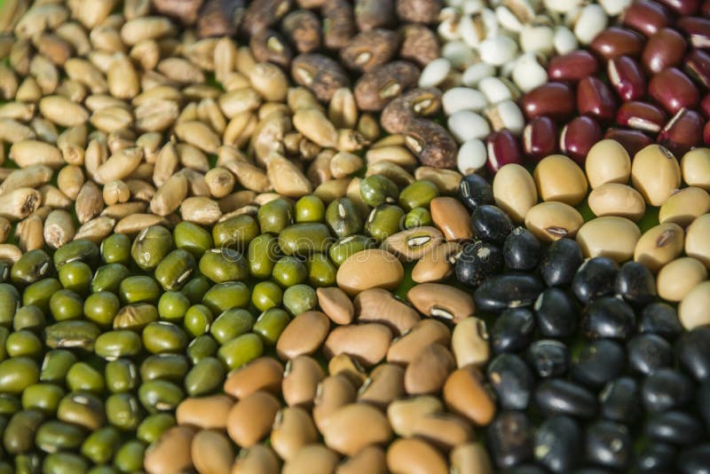 Colorful beans pattern stock photo. Image of grains, green - 74706250
