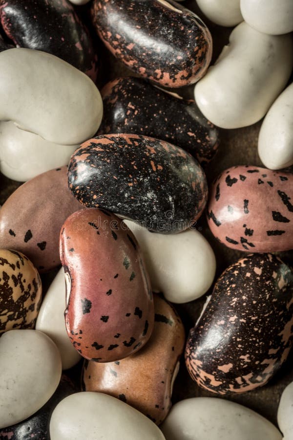 Colorful Beans on Wooden Background Stock Photo - Image of colorful ...