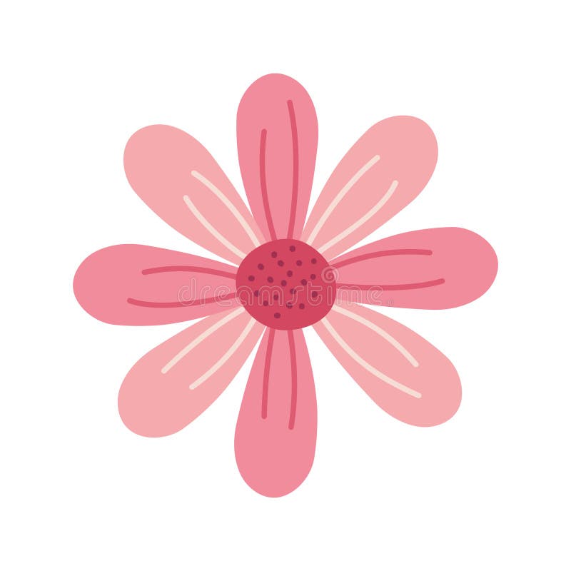 Colorful Beautiful Flat Pink Flower Stock Illustration - Illustration ...