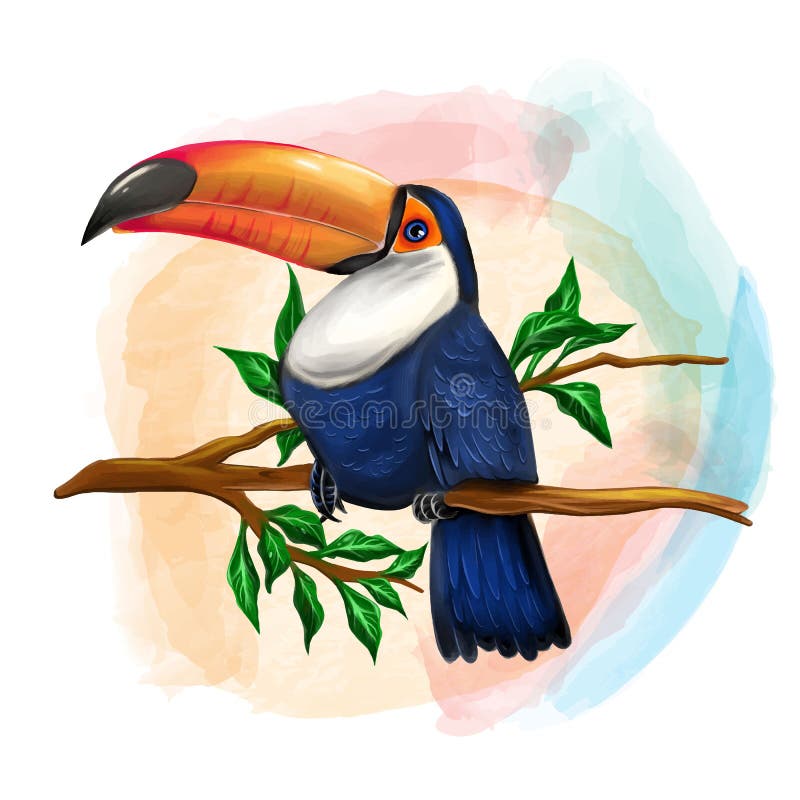 Colorful and Beautiful Toucan Bird in Vector Format Stock Vector ...