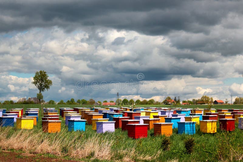 Colorful Bee Hives in a Countryside Stock Image - Image of jelly, honey ...