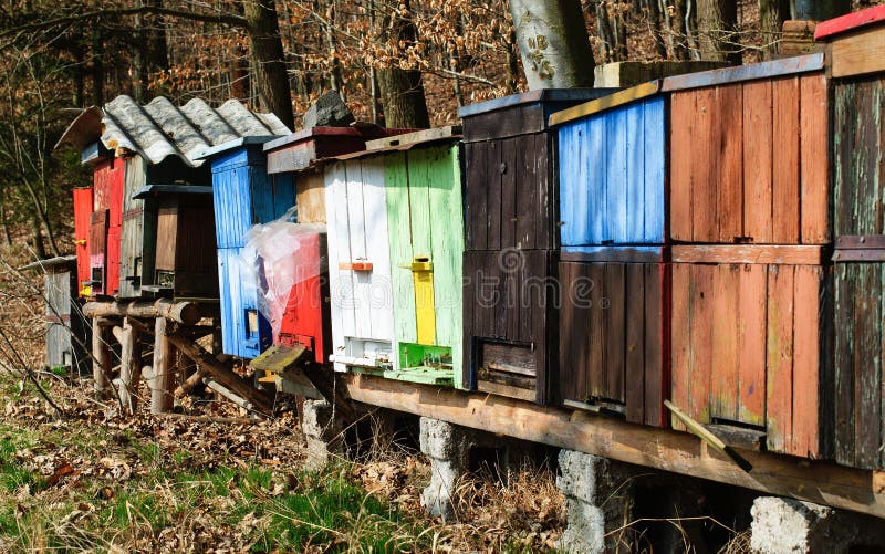Colorful bee hives stock photo. Image of hive, honey - 38894524