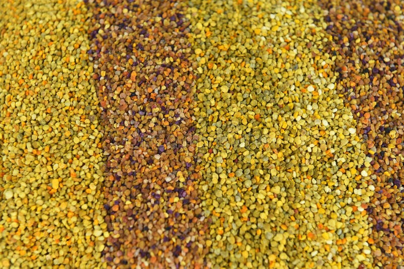 Colorful Bee Pollen Background Stock Image - Image of beekeeping ...