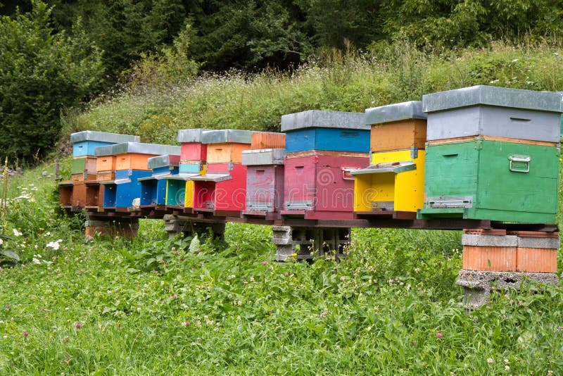 Colorful Beehives stock image. Image of bite, animal - 20634479