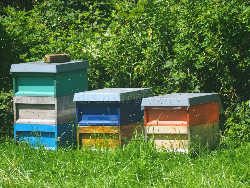 Colorful Beehives of a Wandering Beekeeper #1 Stock Photo - Image of ...
