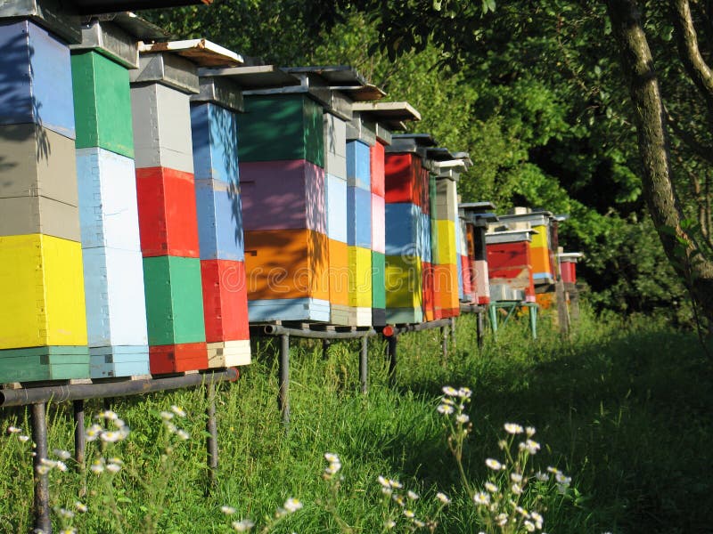 Painted wooden beehives stock image. Image of natural - 41557807