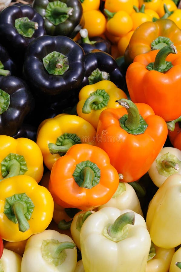 Colorful bell peppers stock image. Image of healthy, bell - 25335765