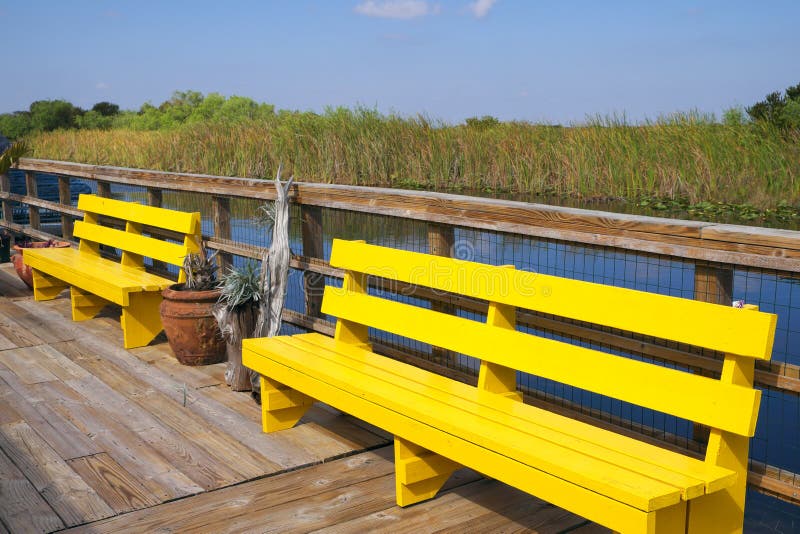 Colorful bench stock photo. Image of swamp, wood, natural - 28907618