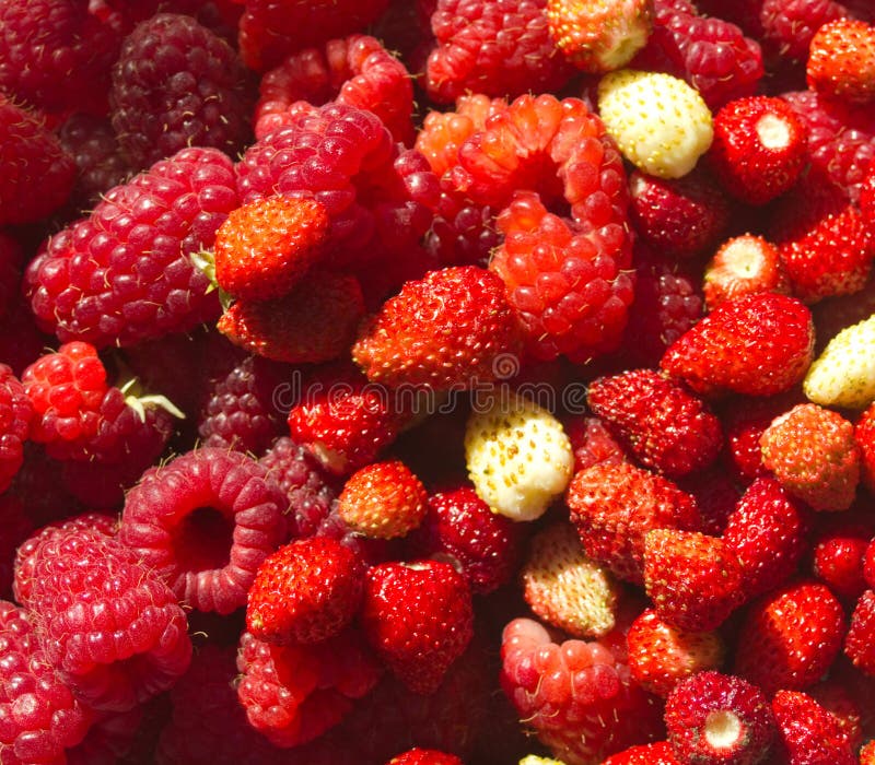 Colorful berry mix stock photo. Image of group, people - 60152054