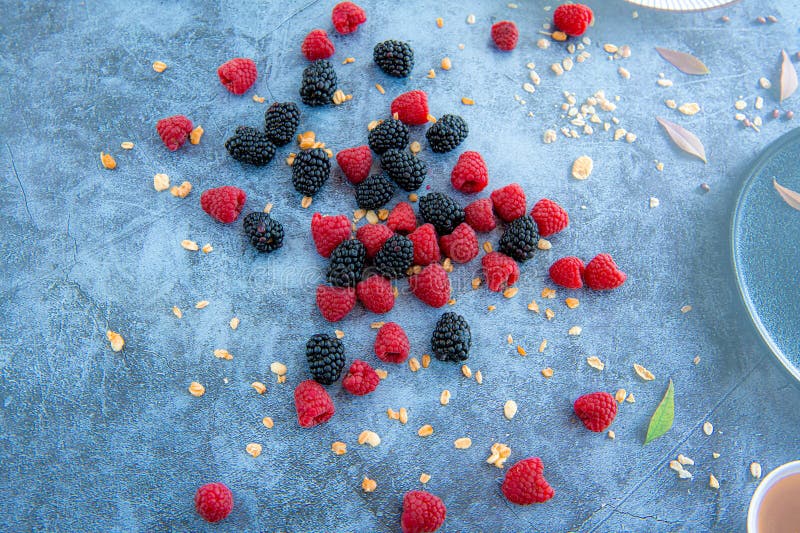 Colorful Berry Pattern of Various Fresh Ripe Wild Berries on Light Blue ...