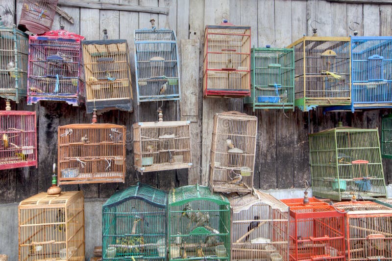 Colorful Bird Cage stock image. Image of market, outdoors - 22404083