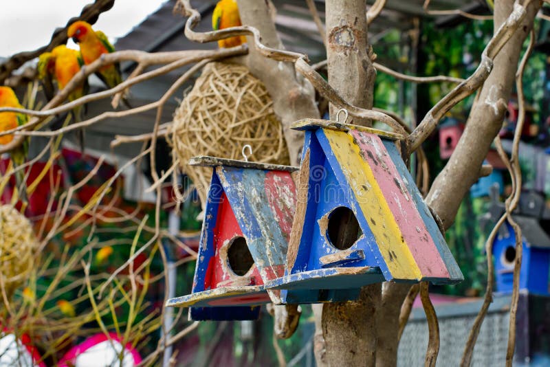Colorful bird house. stock image. Image of drawing, park - 49325955