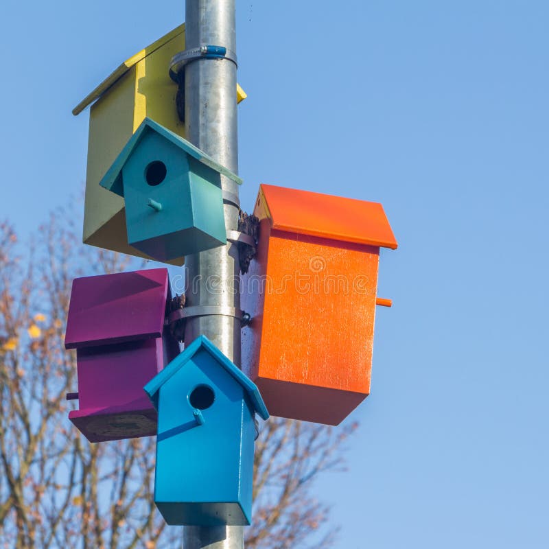 Bird houses in wood stock photo. Image of green, craft - 52617856