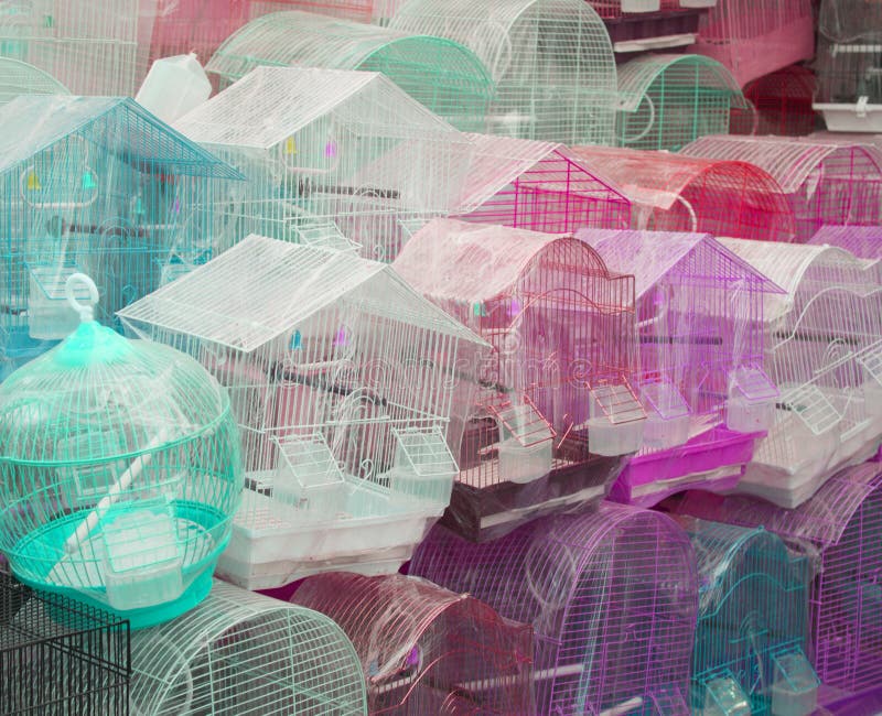 Colorful birdcage stock photo. Image of birds, monochromatic - 53624292