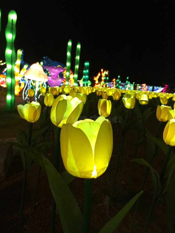 Colorful blinking flowers stock photo. Image of chinese - 144270120