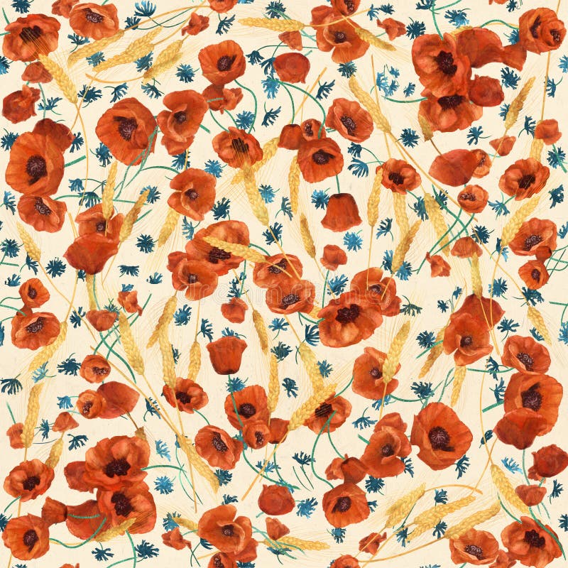 Colorful Blooming Poppies Seamless Pattern Stock Illustration ...