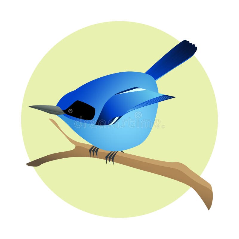 Colorful Blue Bird on a Branch, Side Profile. Exotic Fauna. Stock ...