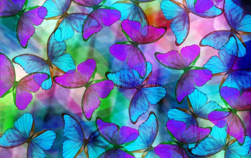Colorful Blue Morpho Butterflies on Abstract Blurred Background. Blue ...
