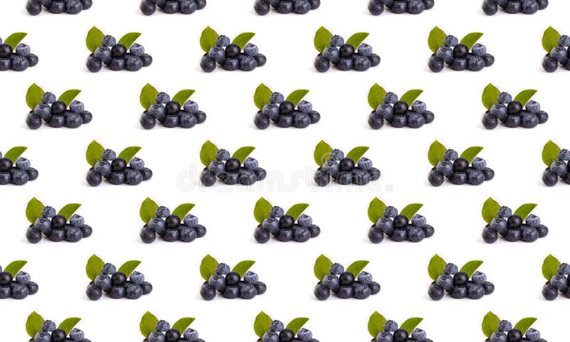 Colorful Blueberry Fruit Pattern with Green Leaves on a White ...