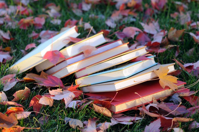 Colorful Books in Campus in Fall Season Stock Photo - Image of paper ...