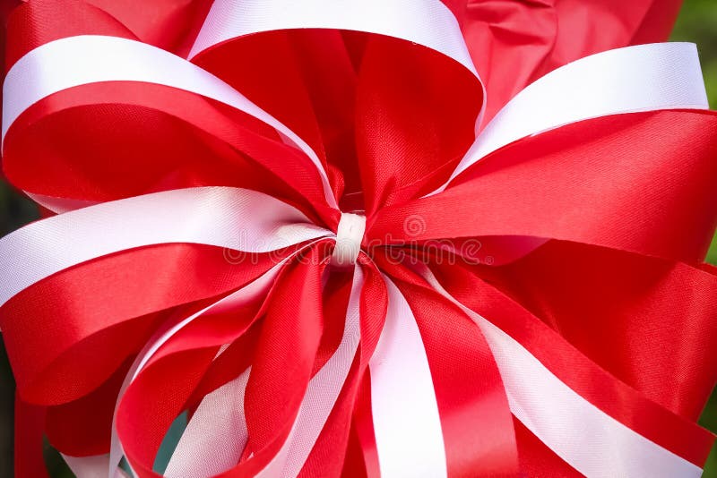 Colorful Bow Ribbon with Red and White Patterns Top View Background ...