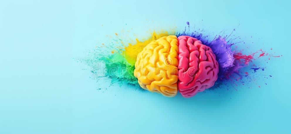 Colorful Brain Illustration Representing Creativity and Intelligence ...