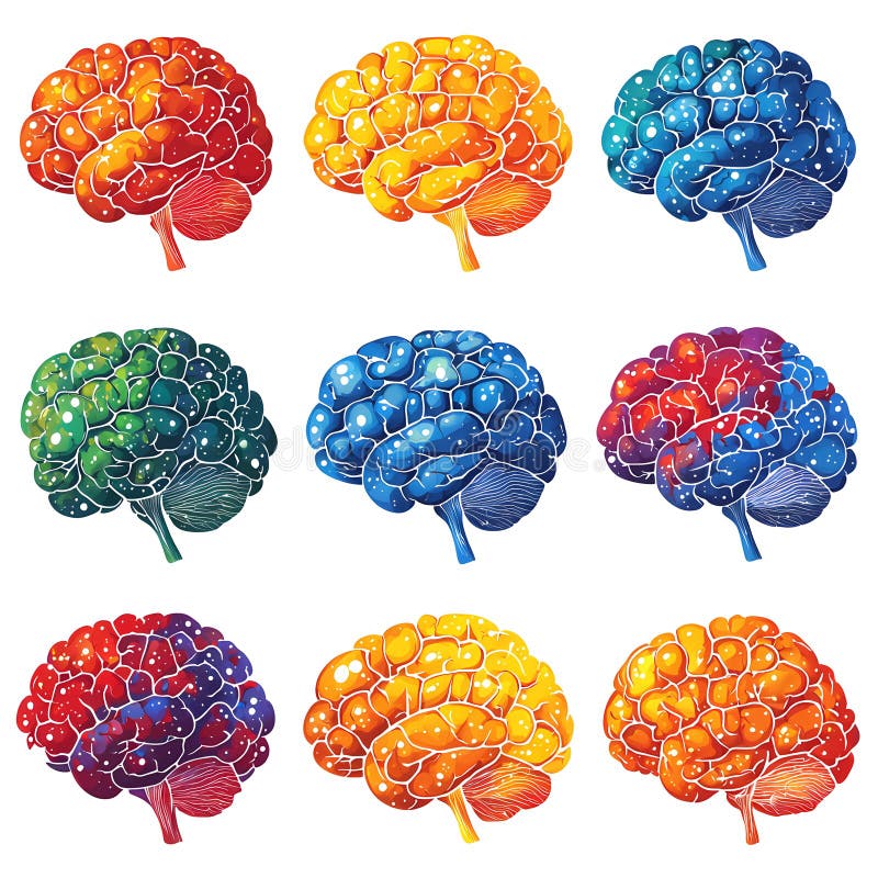Colorful Brain Illustrations in Various Views for Educational Use Stock ...