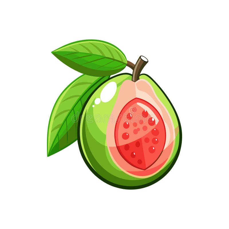 Colorful Brazilian Guava Design for Various Uses Stock Illustration ...
