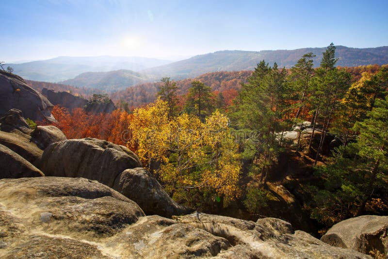 Colorful and Bright Autumn Forest Stock Photo - Image of landscape ...