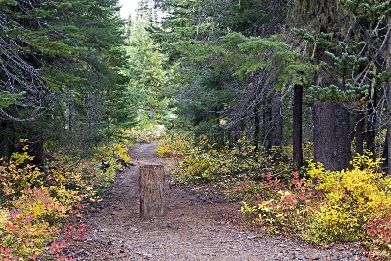 Colorful Bright Autumn Hiking Trail Stock Photo - Image of autumn ...