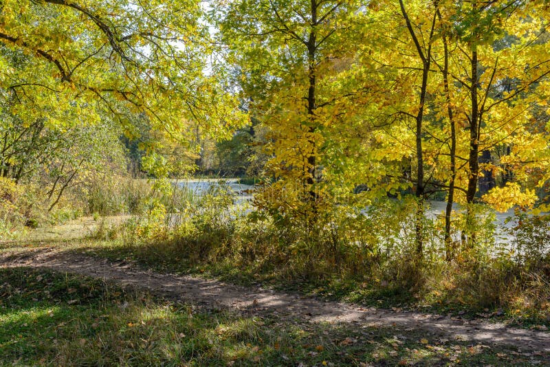 Colorful Bright Beautiful Nature in Early Autumn Stock Photo - Image of ...