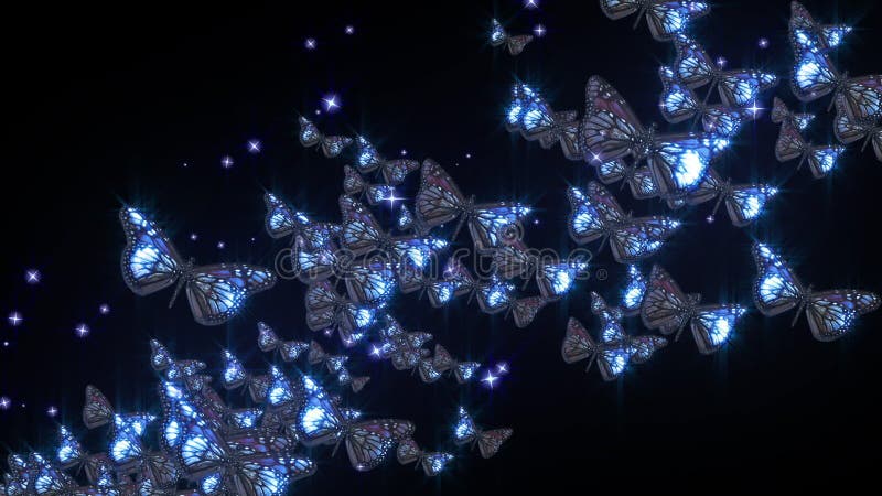 Colorful Bright Butterfly Particle Animation Stock Footage - Video of ...