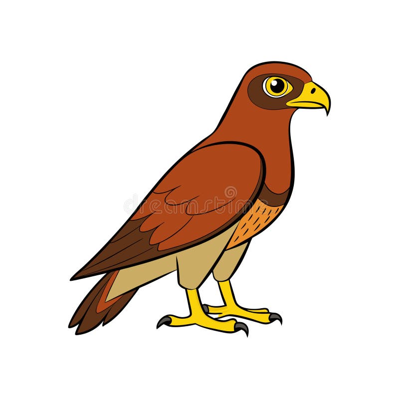 Colorful Broad-winged Hawk Illustration Stock Illustration ...