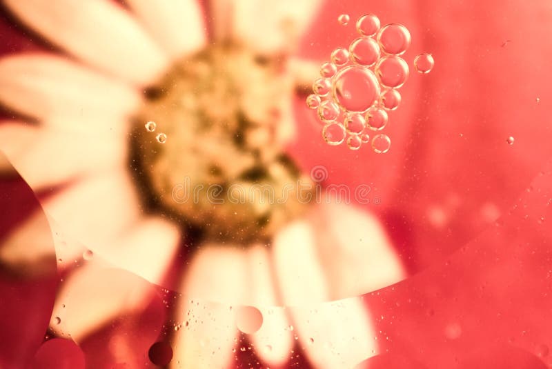 Colorful Bubbles with Blurted Flower in the Background Stock Image ...