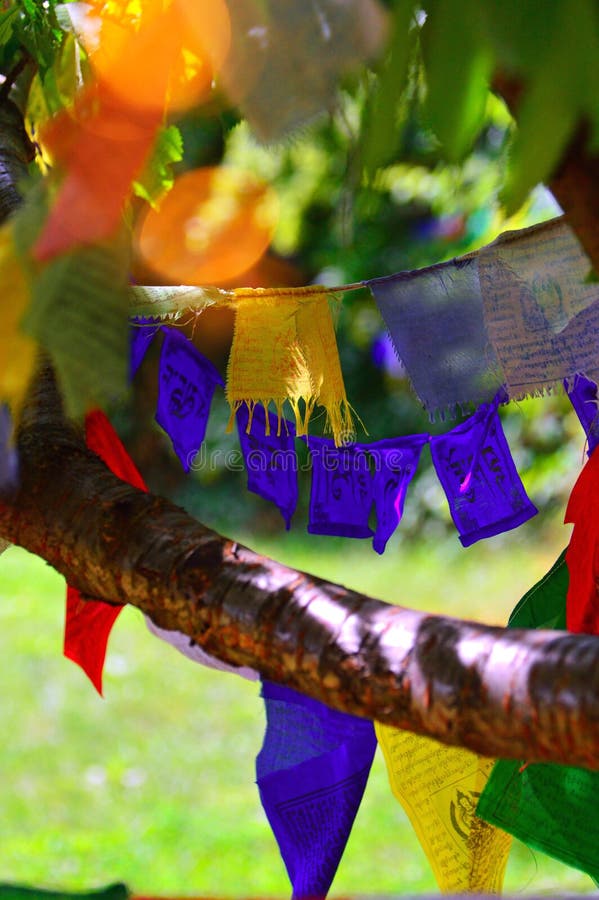 Colorful Buddhist Prayer Flags Stock Photo - Image of color, backdrop ...