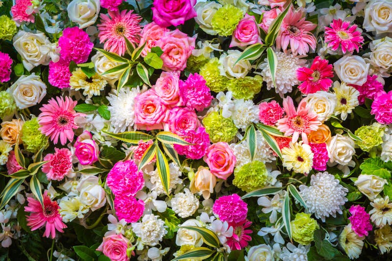 Colorful Bunch of flowers stock image. Image of decoration - 52995973