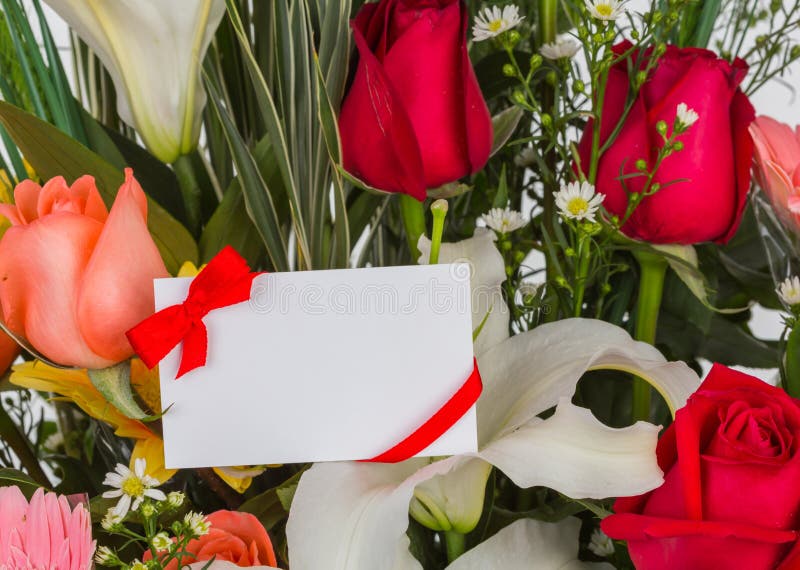 Colorful Bunch of flowers stock photo. Image of decoration - 53004104