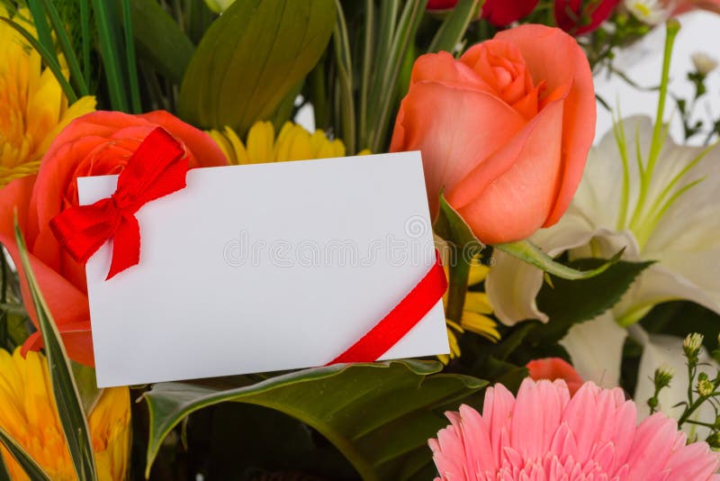 Colorful Bunch of flowers stock photo. Image of blooming - 53004780