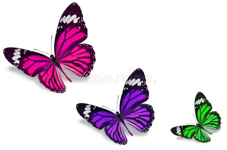 Small Colorful Butterflies Stock Illustrations – 6,612 Small Colorful ...
