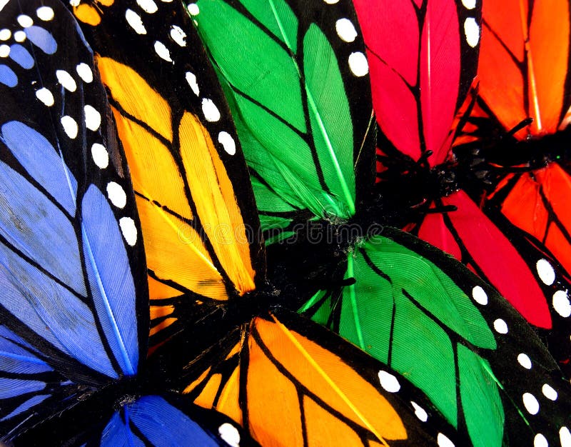 Colorful Butterflies stock photo. Image of bright, ecology - 751660