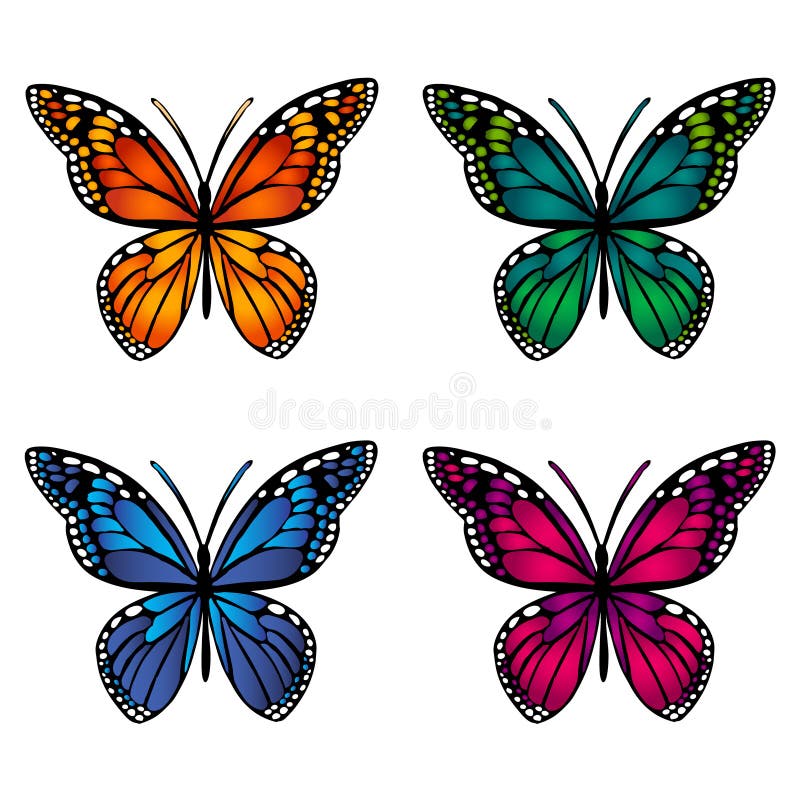 Colorful Butterflies on White Background Stock Vector - Illustration of ...