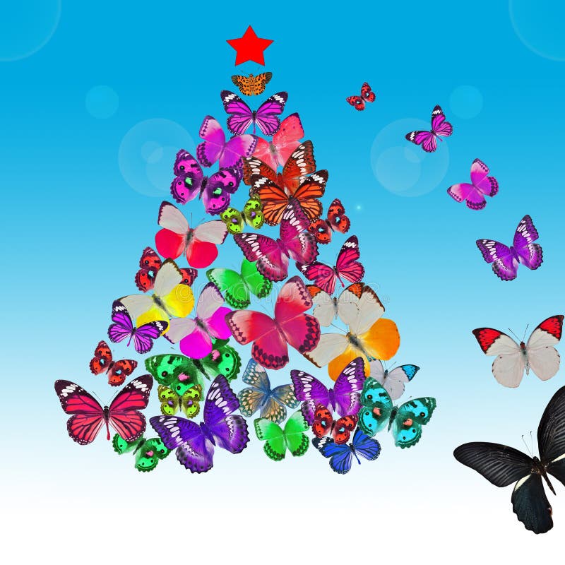 Colorful Butterfly Christmas Card Stock Illustration - Illustration of ...