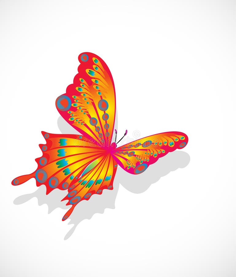 Colorful Butterfly on White Background Stock Vector - Illustration of ...