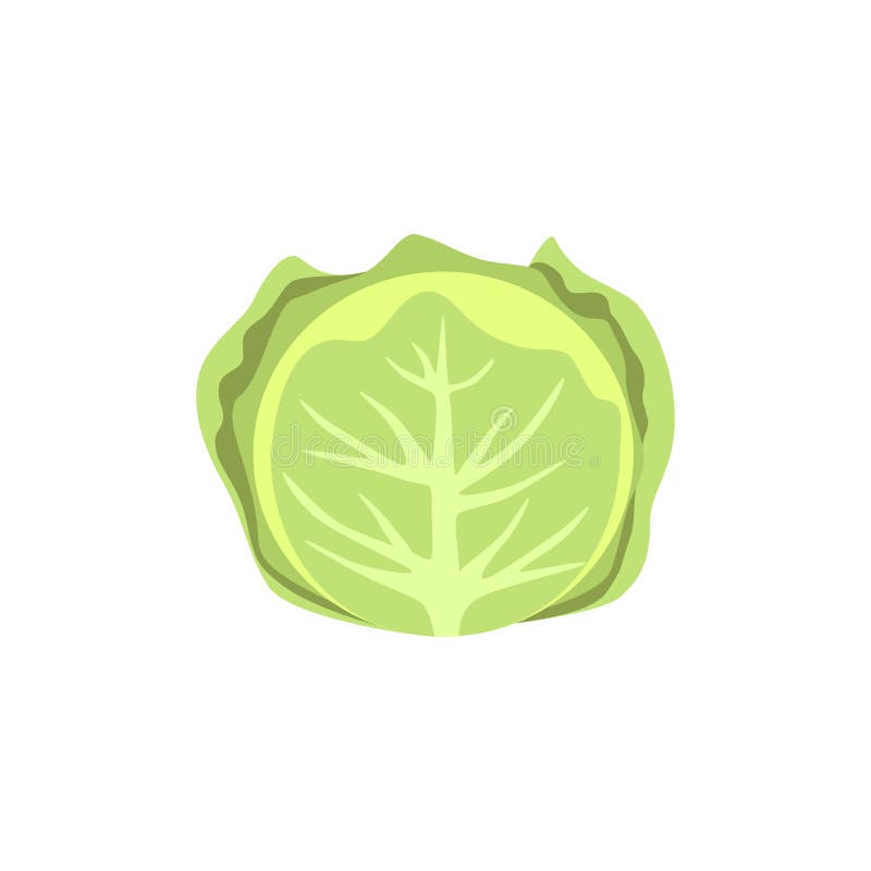 Colorful Cabbage Clipart Cartoon. Cabbage Vector Illustration Stock ...