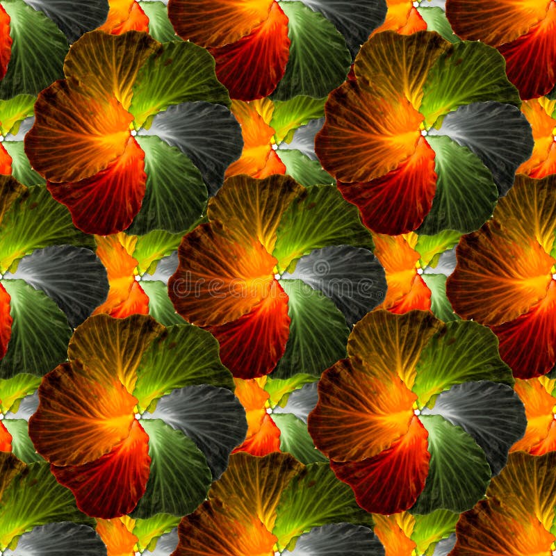 Colorful Cabbage Flower Seamless Pattern Stock Illustration ...