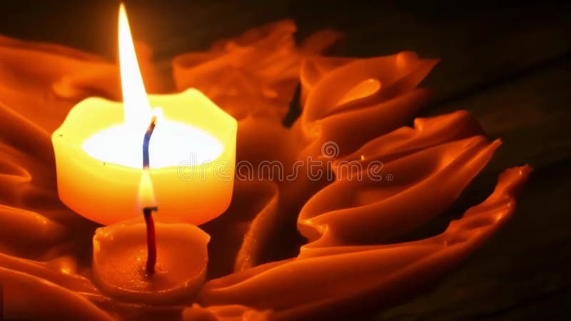 Close-up of a Burning Log Fire with Glowing Embers and Flames. 4k Video ...