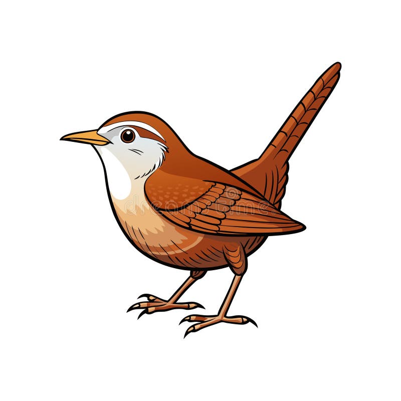 Colorful Carolina Wren Portrait Stock Illustration - Illustration of ...