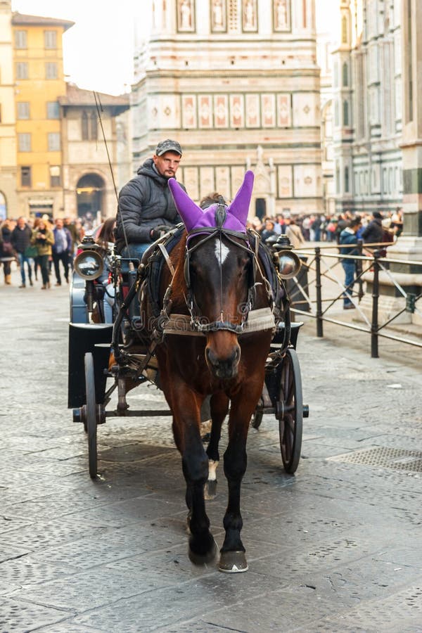 Colorful Carriage in Front of Florence Duomo. Editorial Stock Image ...