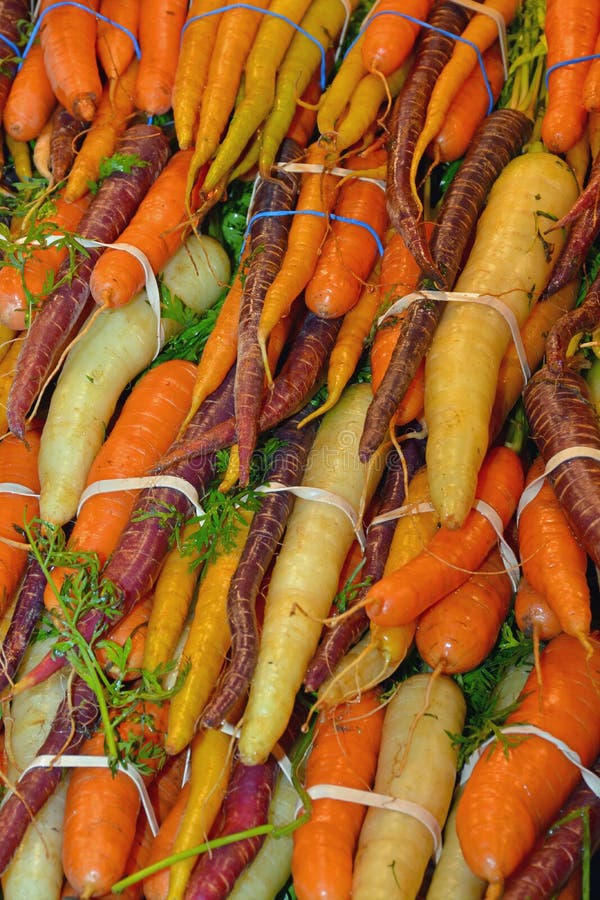 Colorful carrot bunches stock photo. Image of farmer - 75767770